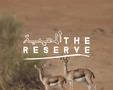 الاستدامة في دولة الإمارات العربية المتحدة