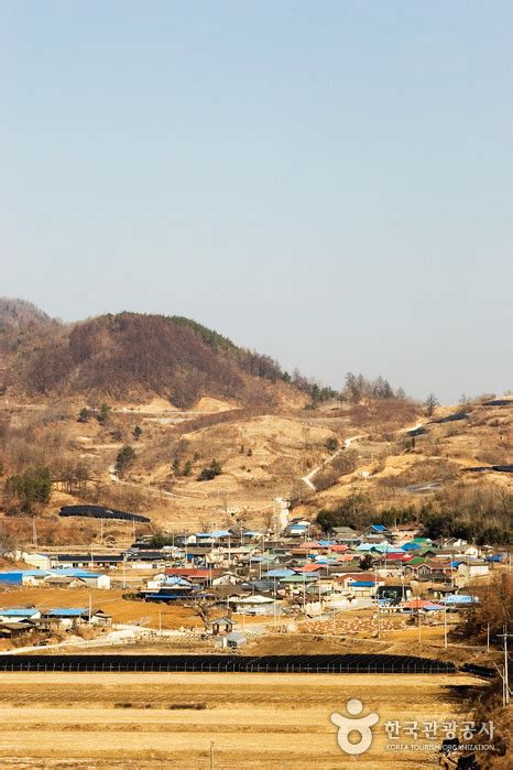 금산산림문화타운