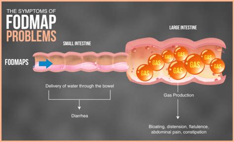 Beat Digestive Problems With A Low Fodmap Diet