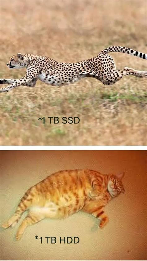 Thats Basically The Difference Between Them Scrolller