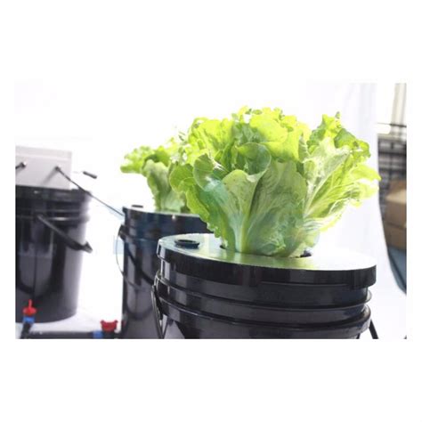 Automatic Hydroponic Growing System Automated Auto Pot Buy Automatic Hydroponic Growing System