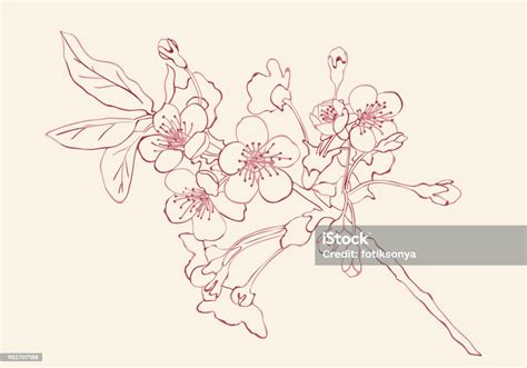 손으로 그린 꽃 배열입니다 꽃 장식적인 디자인 요소입니다 0명에 대한 스톡 벡터 아트 및 기타 이미지 0명 검은색 고풍스런 Istock