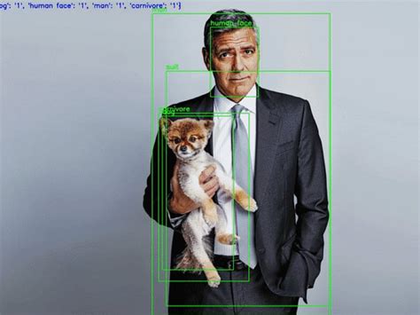 Object Detection Tracking And Counting System With Above 98 Accuracy Upwork