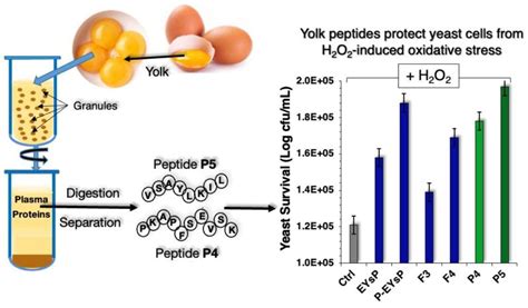 The Journal Of Bioactive Compounds In Health And Disease On Linkedin Identification Of Potent