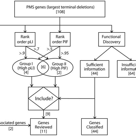 Gene Selection And Classification Pipeline Pms Genes Were Selected For