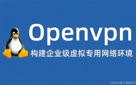 Vpn搭建秘籍：ubuntu 2204系统下openvpn服务器的完整配置流程 技术栈