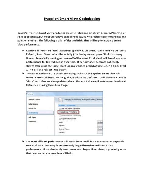 Hyperion Smart View Optimization Microsoft Excel Spreadsheet