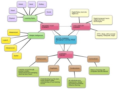 Concept Map Example Native American Health Disparities