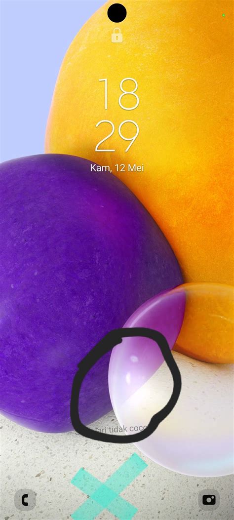 Fingerprint Error Samsung Members