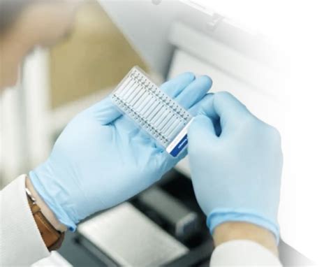 Mirxes RNA Sequencing RNA Seq High Quality Cost Efficient