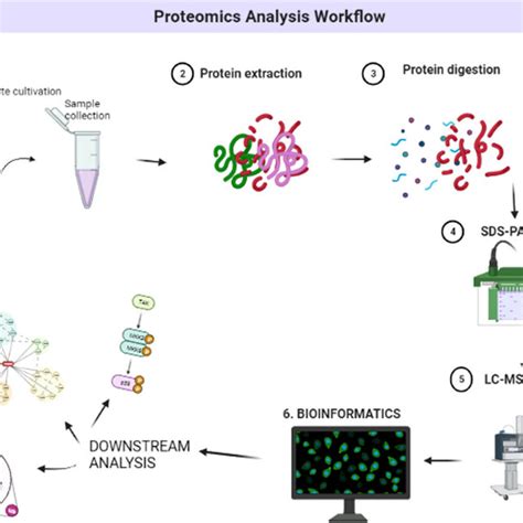 Mass Spectrometry Based Proteomics For The In Vitro Profiling Of