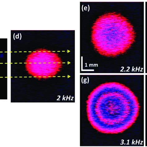 A Schematic Of The Optical Doppler Tomography Odt System Bls Download Scientific Diagram
