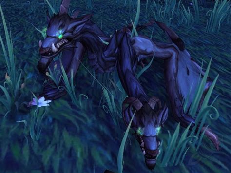 Darkwing Whelpling Npc World Of Warcraft