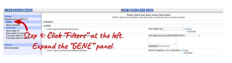 Exporting Gene Data With Biomart Demo