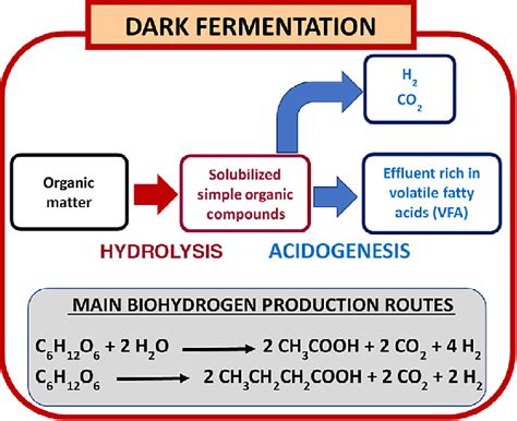 3 Simplified Scheme Of The Dark Fermentation Process Download