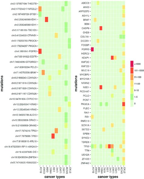 Summary Of Pan Cancer Eqtl Mapping Results By Same With Bonferroni Download Scientific Diagram