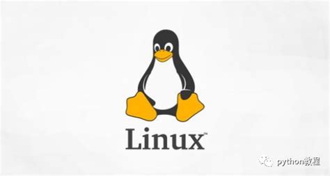 Linux系统如何安装Python新手教程 腾讯云开发者社区 腾讯云