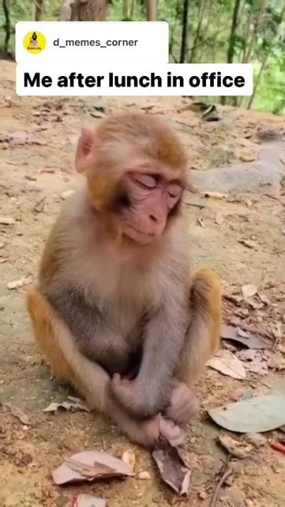 [video] amit verma on linkedin hr job humanresource employee