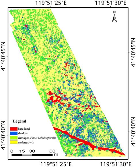 Svm Classification Map With The G Rbf Kernel 20 05 Download