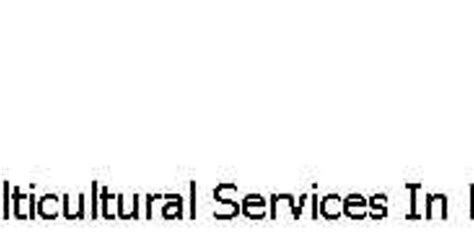 Your Values My Values Multicultural Services In Developmental