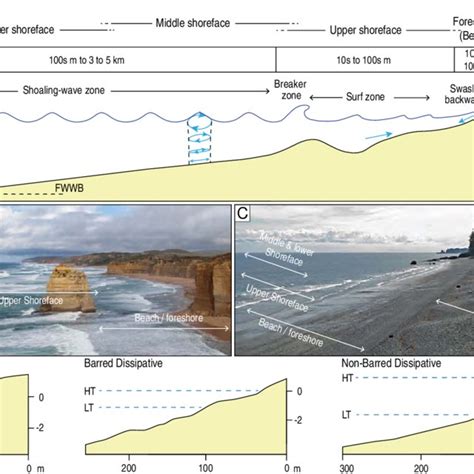 PDF Wave Dominated To Tide Dominated Coastal Systems A Unifying Model For Tidal Shorefaces