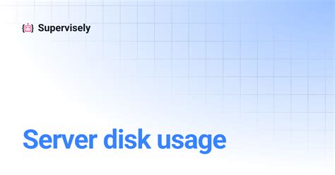 Server Disk Usage Supervisely