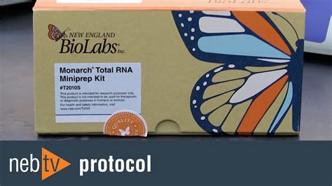 Monarch® Rna Cleanup Protocol Neb