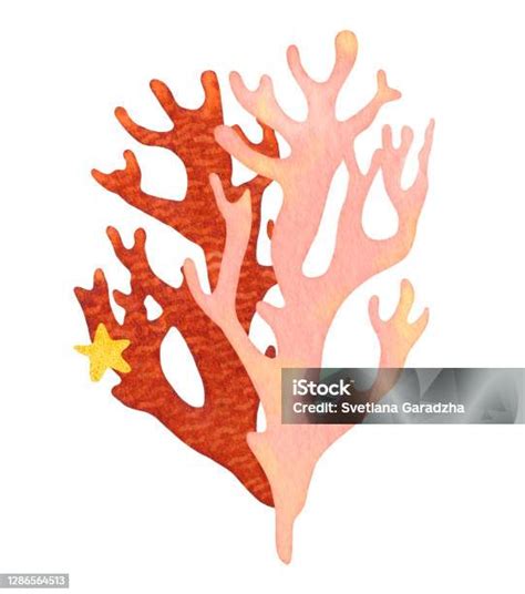 산호초 수채화 일러스트 구성 손으로 그린 수중 바다 생활 장식 디자인 흰색 배경에 아름다운 밝은 산호 불가사리 해양 생물 산호초에 대한 스톡 벡터 아트 및 기타 이미지
