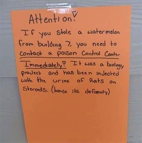 “stupid And Weird Signs” 50 Of The Funniest Signs Ever As Collected