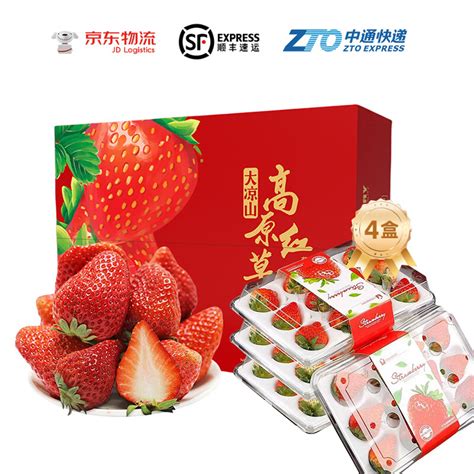 3元毛，掌上生活！ 一起活动吧