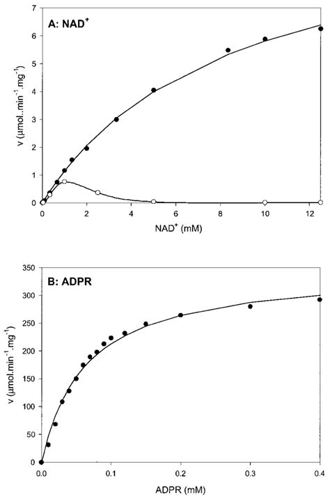Primary Plots Of Nad And Adpr Hydrolyzing Activity Of Act A Nad