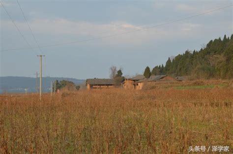 這是不是你記憶中的農村景色廣元劍閣木馬 每日頭條