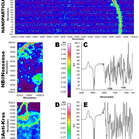 Atr Ftir Imaging Of The Tumor Tissue For Mice Treated With Naked