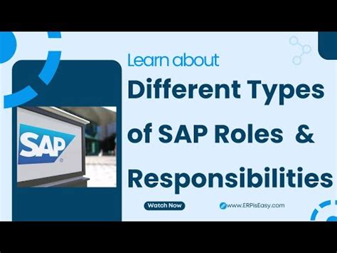 What Are The Different Types Of SAP Roles Available In The Market Their Responsibilities How