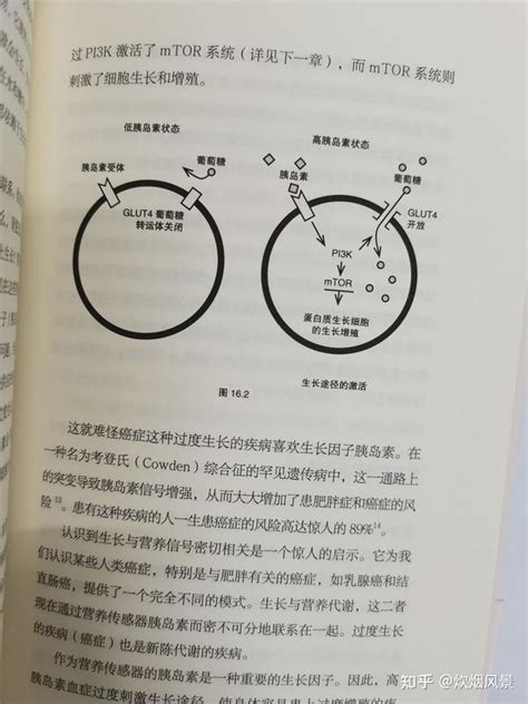 了解什么是癌症，不再“谈癌色变” 知乎