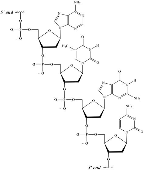 Illustrated Glossary Of Organic Chemistry Polymer