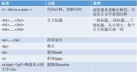 【html】——初识网页的背后页面背后 Csdn博客
