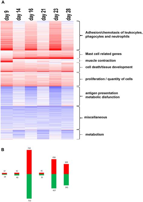 Transcriptome Analysis In The Recurrent Tnbs Induced Colitis Model To Download Scientific