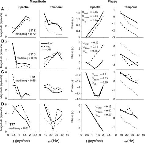 separated spectral and temporal transfer functions of the neurons shown