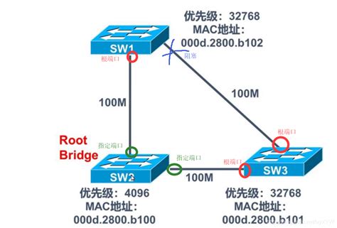 生成树协议详解 Csdn博客