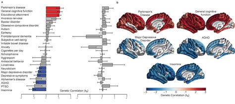 Genetic Correlations With Neuropsychiatric And Psychological Traits