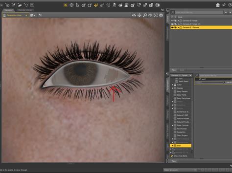 Sclera Morph Daz 3d Forums
