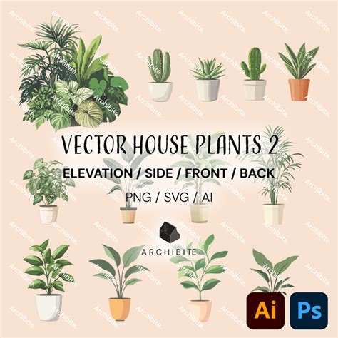 Photoshop Brushes Conifer Trees Elevation Archibite Com