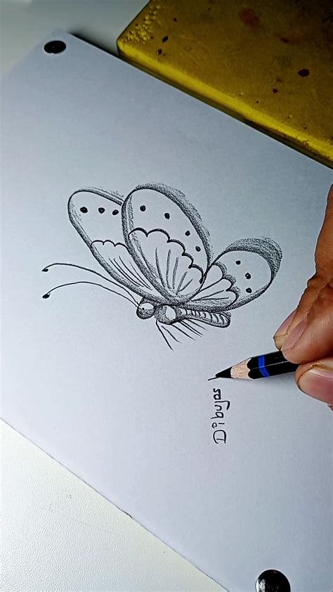 Aprende A Dibujar Una Mariposa Fácil Para Principiantes Tiktok