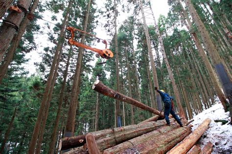 ホーム 新潟県村上市架線集材の林業 岩佐木材 有限会社