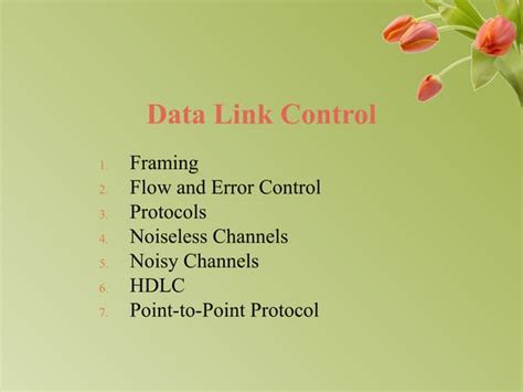 Data Link Control Ppt