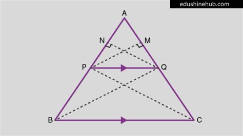 Unlock Success In BPT Basic Proportionality Theorem Class