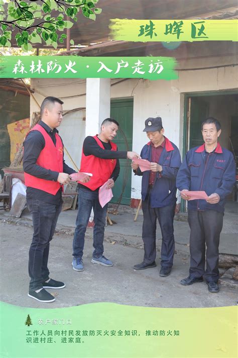 畫裡有話｜衡陽珠暉區：讓山林「戒菸」為群眾「護肺」 壹讀