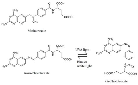 Methotrexate Structure