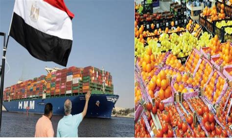 القصير 1 5 مليار دولار صادرات مصر الزراعية خلال الربع الأول من 2024
